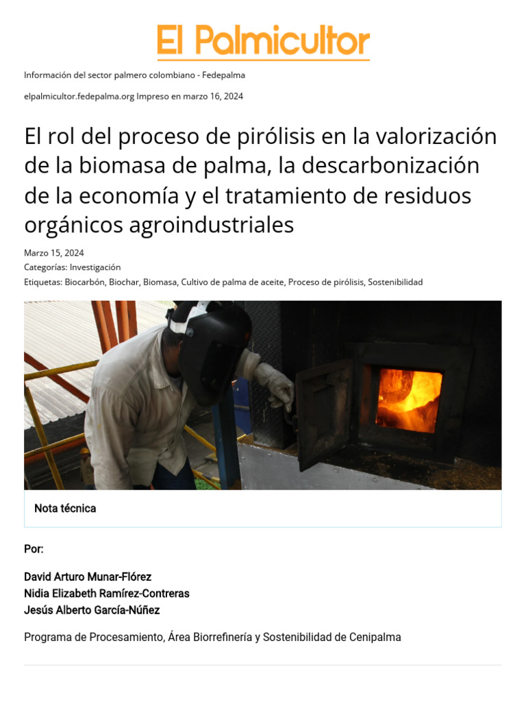 El Rol Del Proceso de Pirólisis en La Valorización de La Biomasa de ...