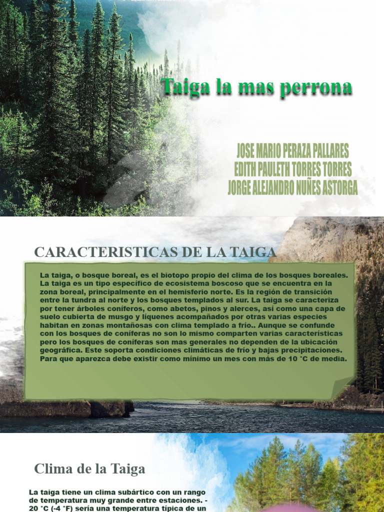 Características y fauna de la taiga | PDF | Ciencias de la Tierra ...