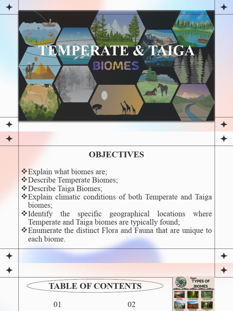 Temperate & Taiga-Edited | PDF | Grassland | Forests