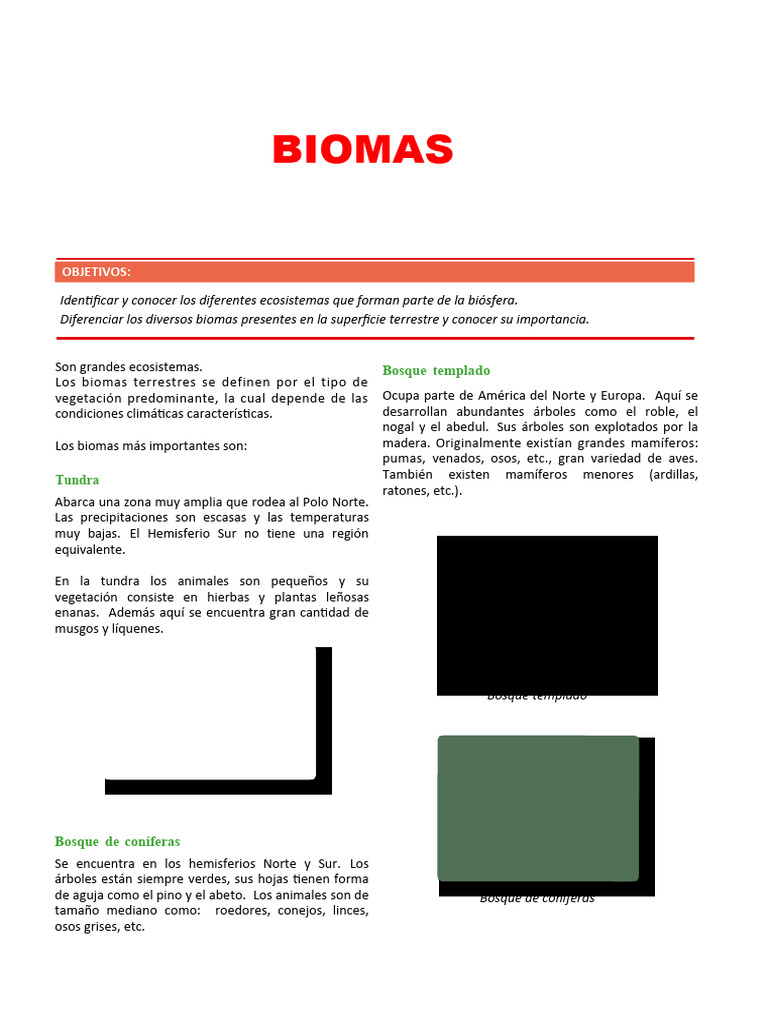 Biomas para Primer Grado de Secundaria | PDF | Arboles | Los bosques