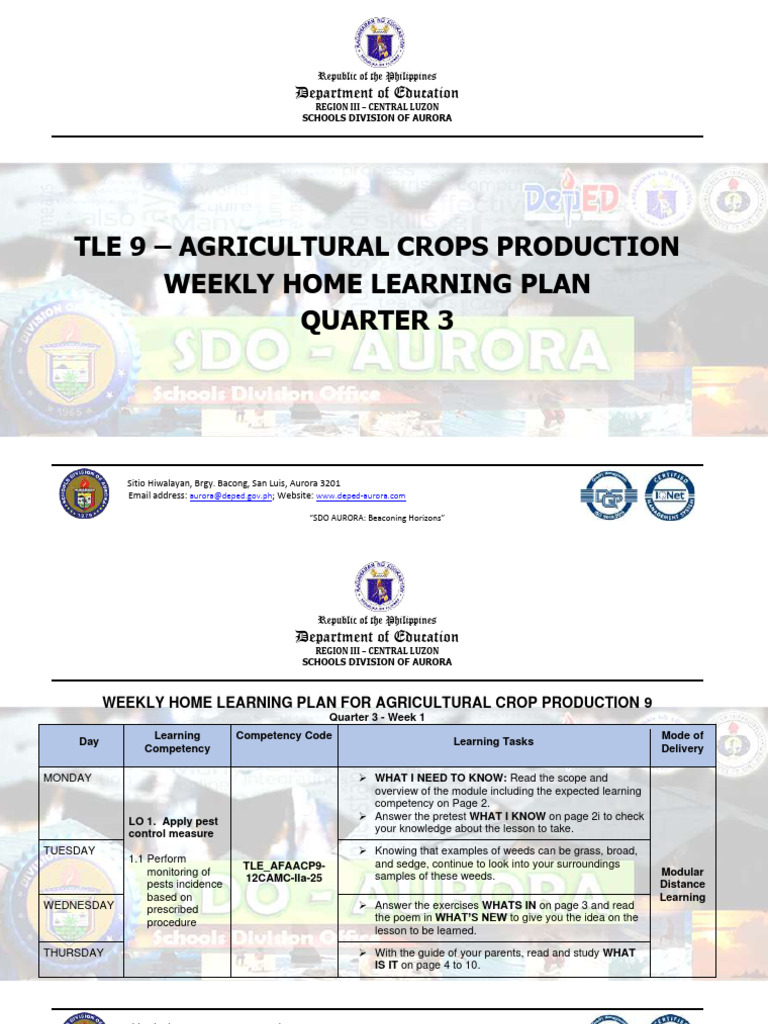 Tle 9 - Agricultural Crops Production Weekly Home Learning Plan Quarter 3 | PDF | Learning