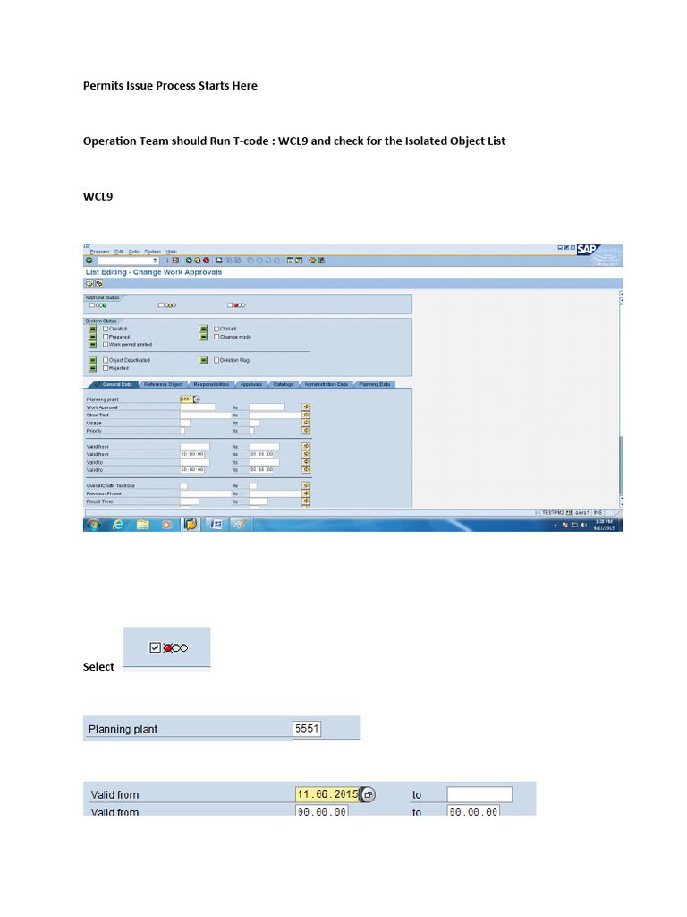 SAP Permits Issue Process | PDF