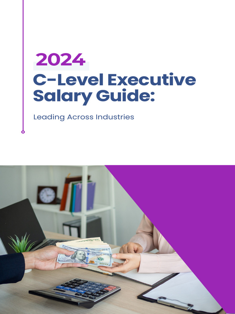 C Level Executive Salary Guide | PDF | Chief Information Officer ...