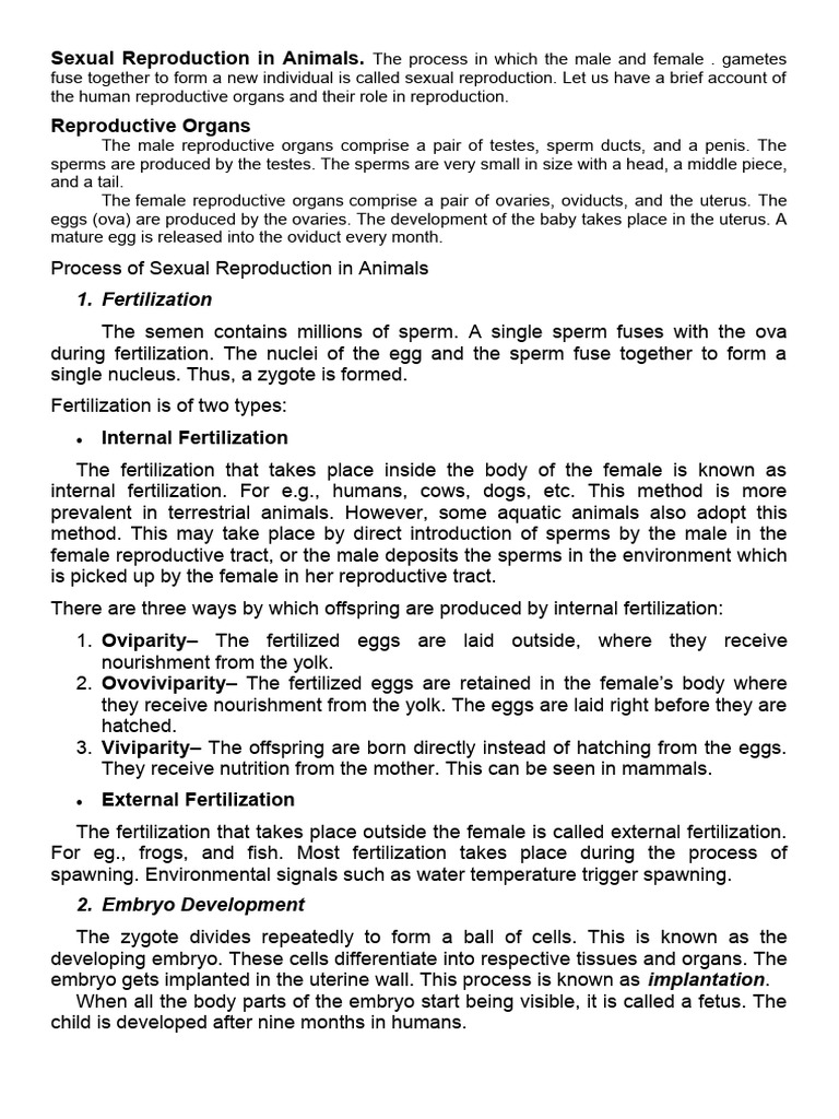 Sexual Reproduction in Animals | PDF | Fertilisation | Reproductive System