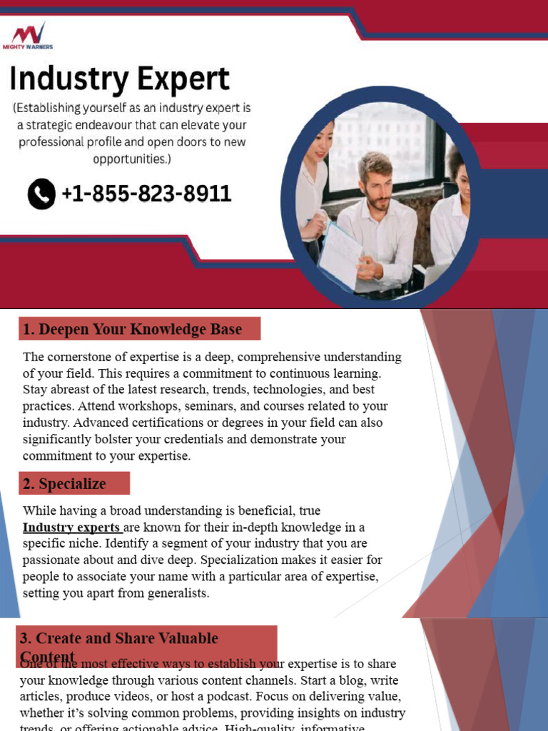 Proven Strategies To Establish Yourself As An Industry Expert | PDF ...