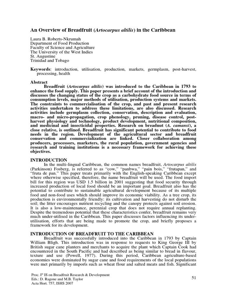 Arto Overview | PDF | Food Security | Trees