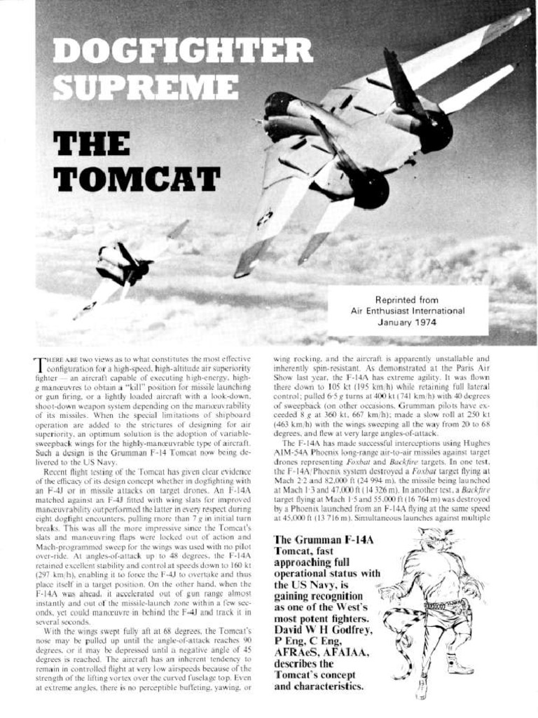Dogfighter Supreme The F-14 Tomcat | PDF