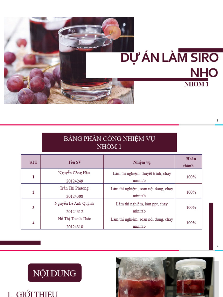 D Án Làm Siro Nho | PDF