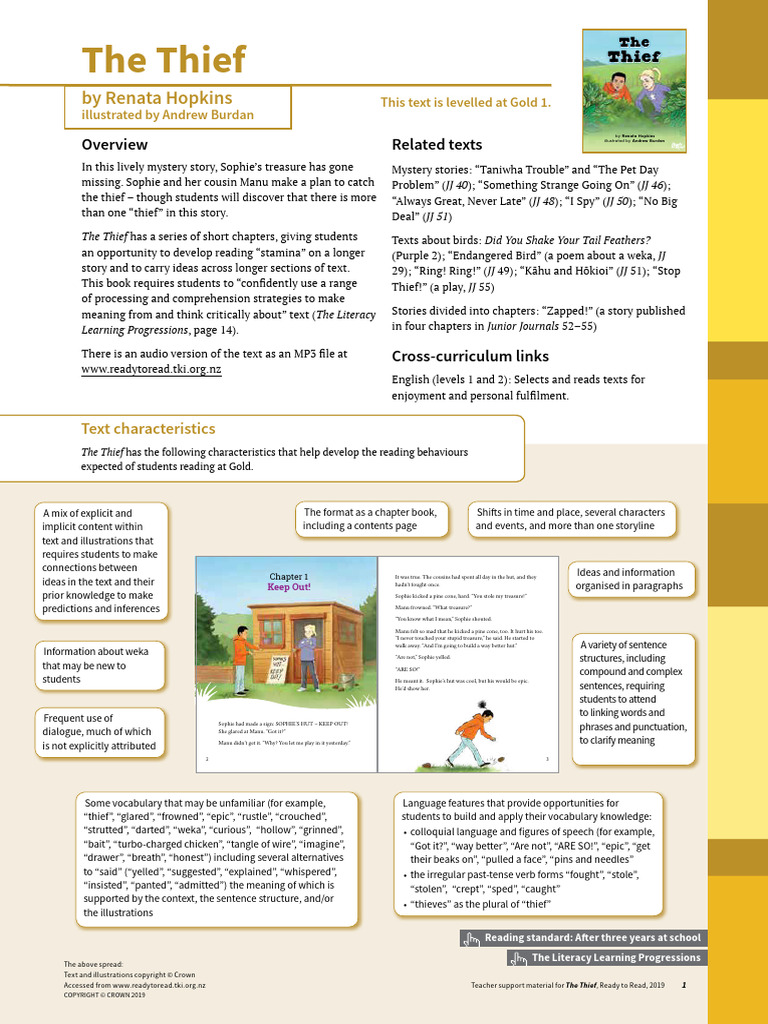 RTR TSM The+Thief | PDF | Reading Comprehension | Learning