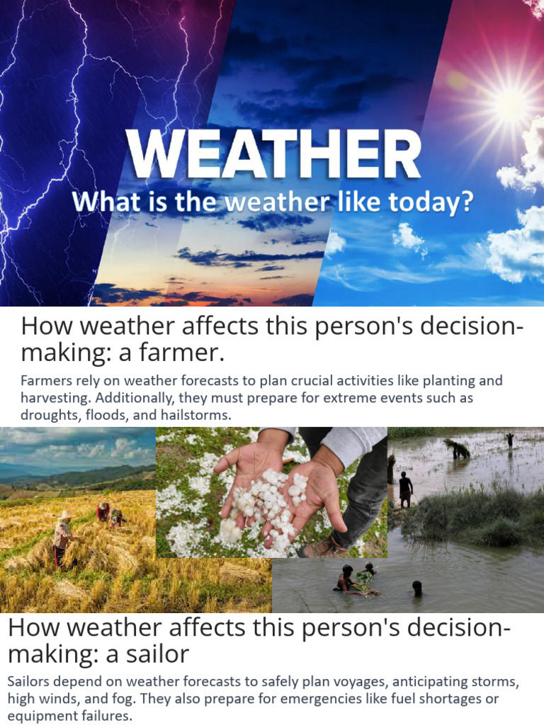 How Weather Impacts Decisions | PDF | Science & Mathematics