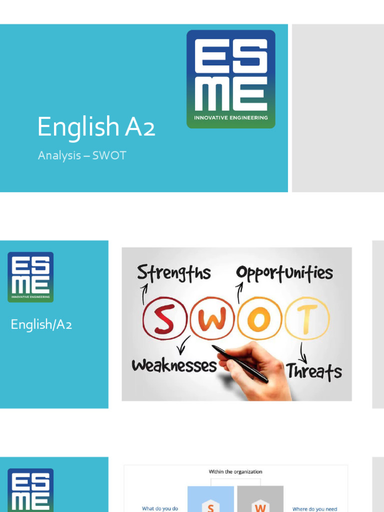 ESME SWOT | PDF | Swot Analysis | Economies