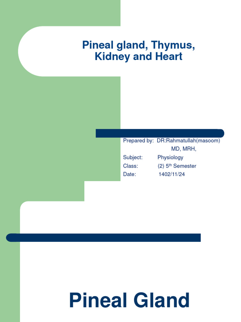 8.pineal, Tymus, Kidney, Hearth | PDF | Angiotensin | Thymus