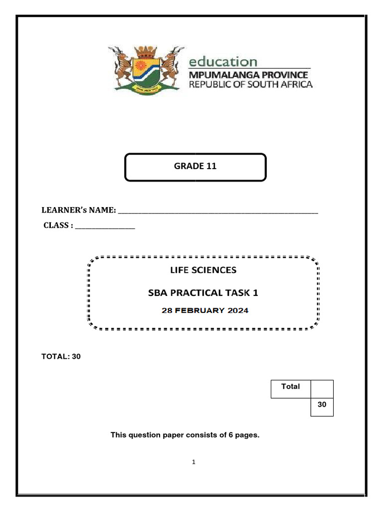 ##Grade 11 Sba Practical Task 1 28 Feb 2024 - 090514 | PDF