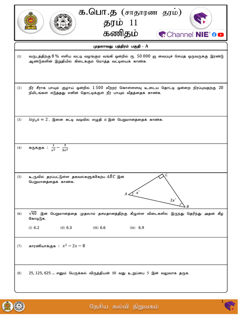 2024grade 11 Maths Model Papers Tamil Medium | PDF