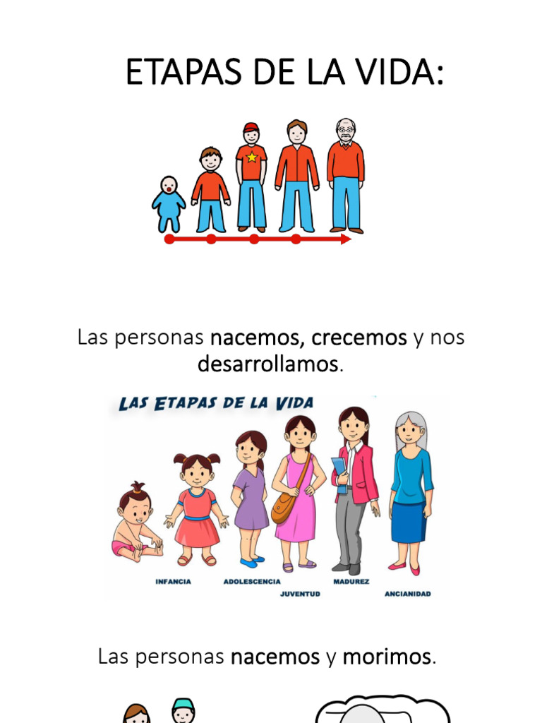 Etapas De La Vida Geplaatste Het Levensstadia Vector Illustratie