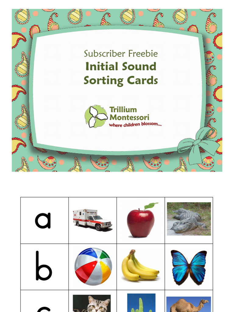 01-Language-Initial Sounds Sorting | PDF
