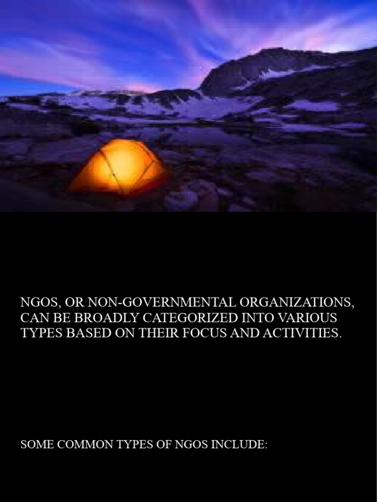 Presentation On TYPES OF NGOs | PDF | Non Governmental Organization ...