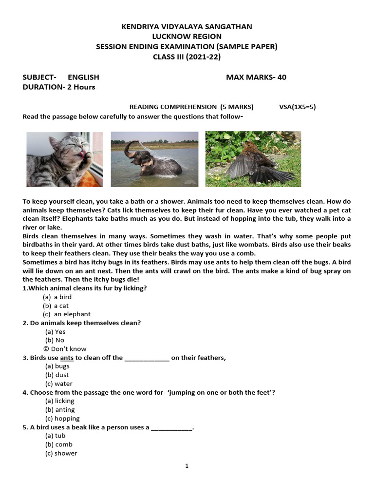 Eng-Class 3 Sample Paper 2021-22 | PDF