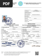 Business License | PDF