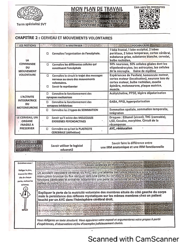 Cours T3 Chap 2 | PDF