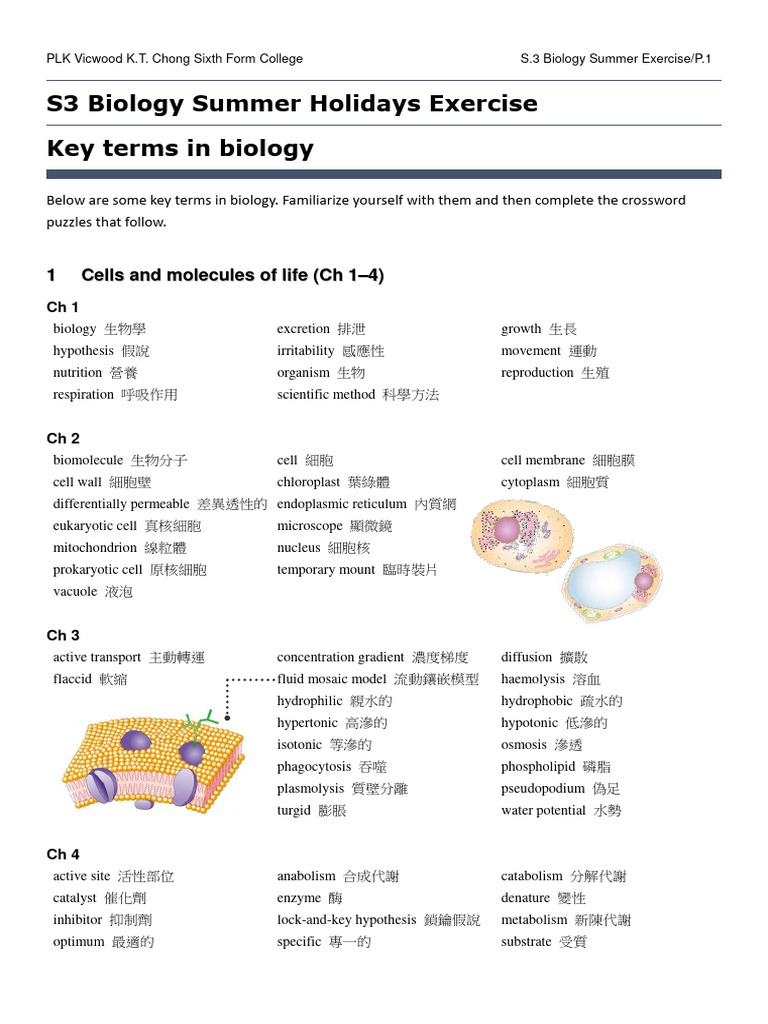 Biology Summer Holiday Homework | PDF