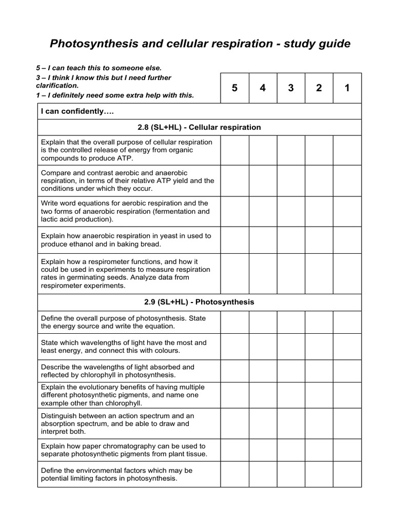 Photosynthesis and Respiration Study Guide | PDF