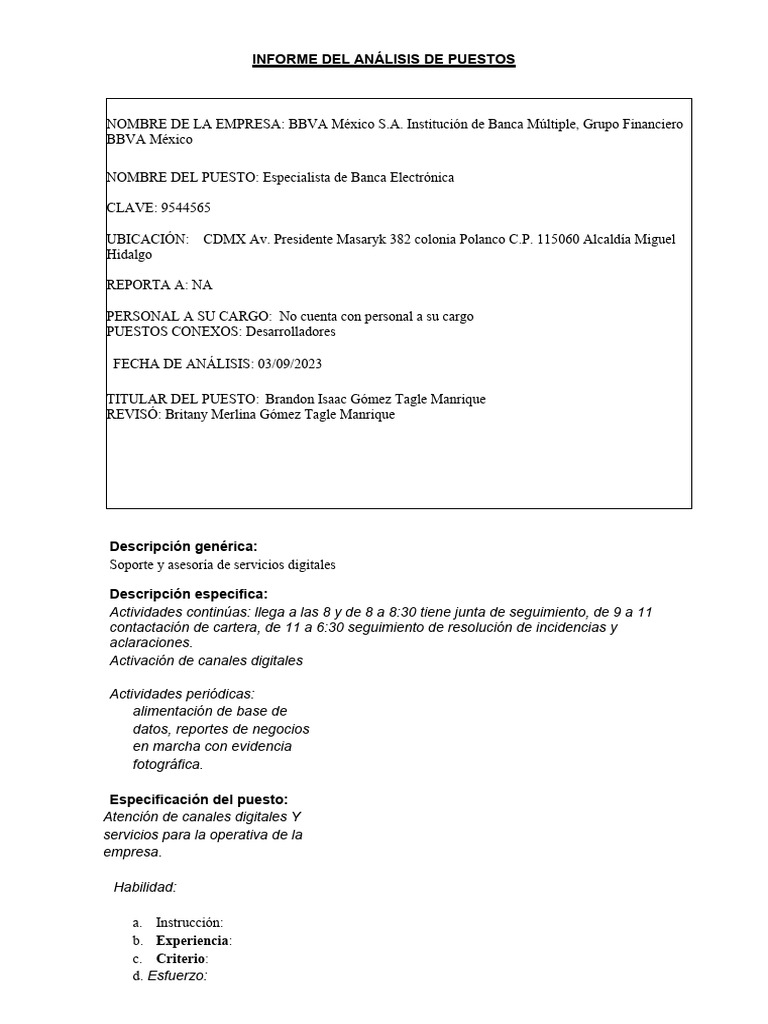 Análisis de Puesto Proyecto (1) Brandon | PDF | Business