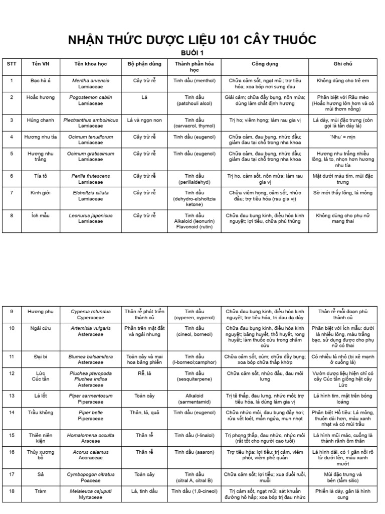 NTDL Có Ghi Chú | PDF