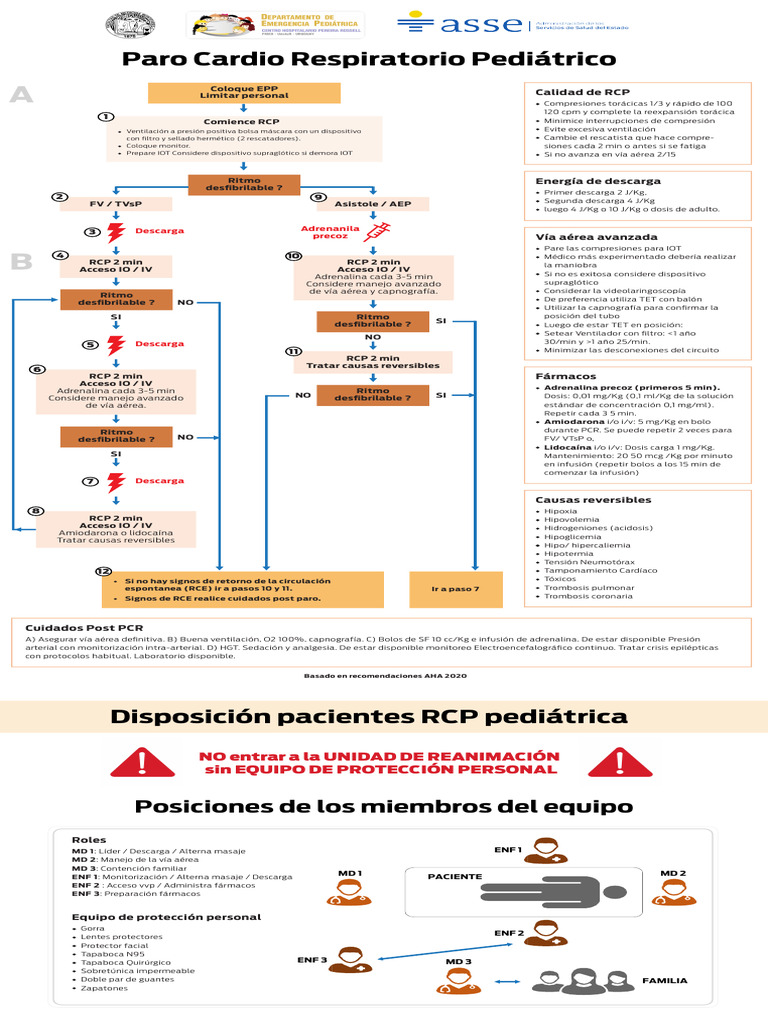 RCP | PDF | Reanimación cardiopulmonar | Emergencias Médicas