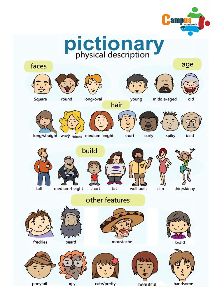 Appearance Vocabulary | PDF