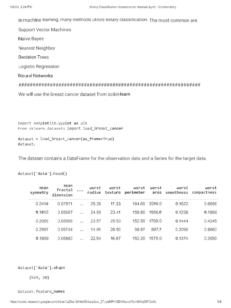 Binary Classification | PDF