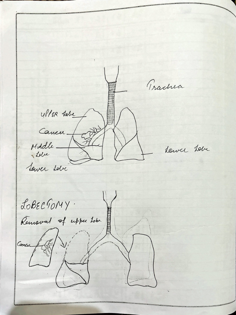 Pts Practical File | PDF