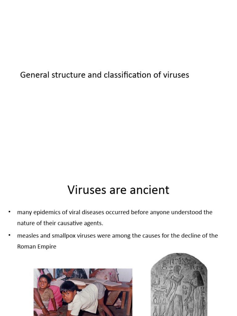 01 - General Structure and Classification of Viruses1 | PDF | Virus ...
