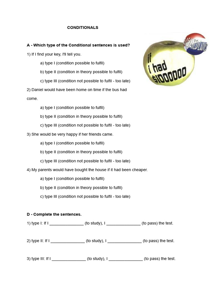 Conditional Sentences Exercise Guide | PDF | Linguistics