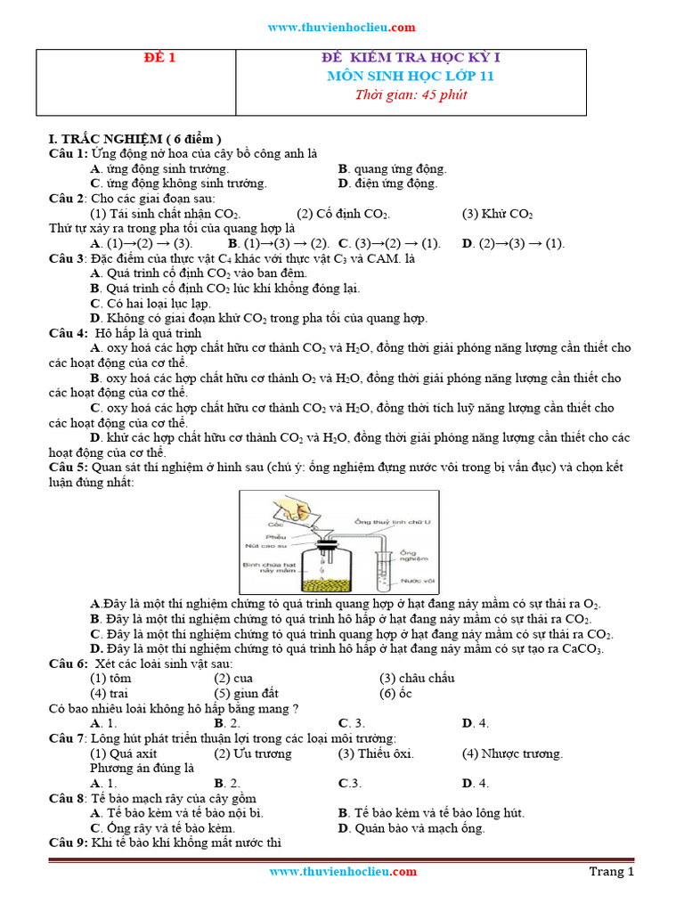 10 de Thi Hk1 Sinh 11 Co Dap An | PDF