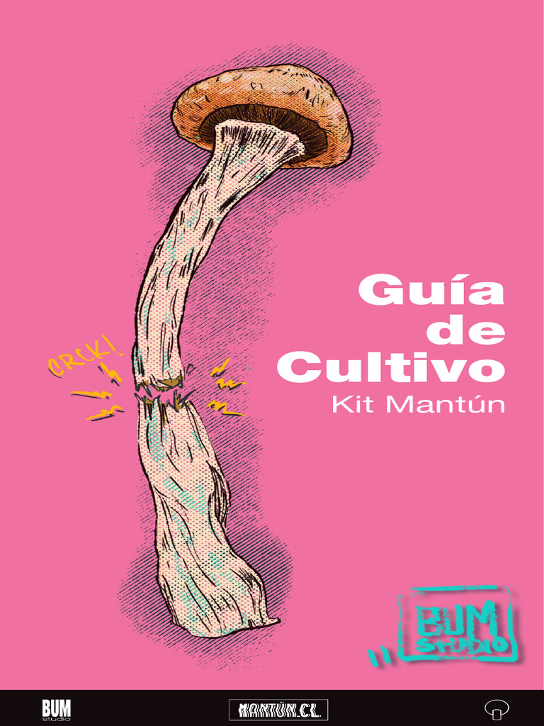 Guía de Cultivo: Kit Mantún de Hongos | PDF | Seta | Hongo