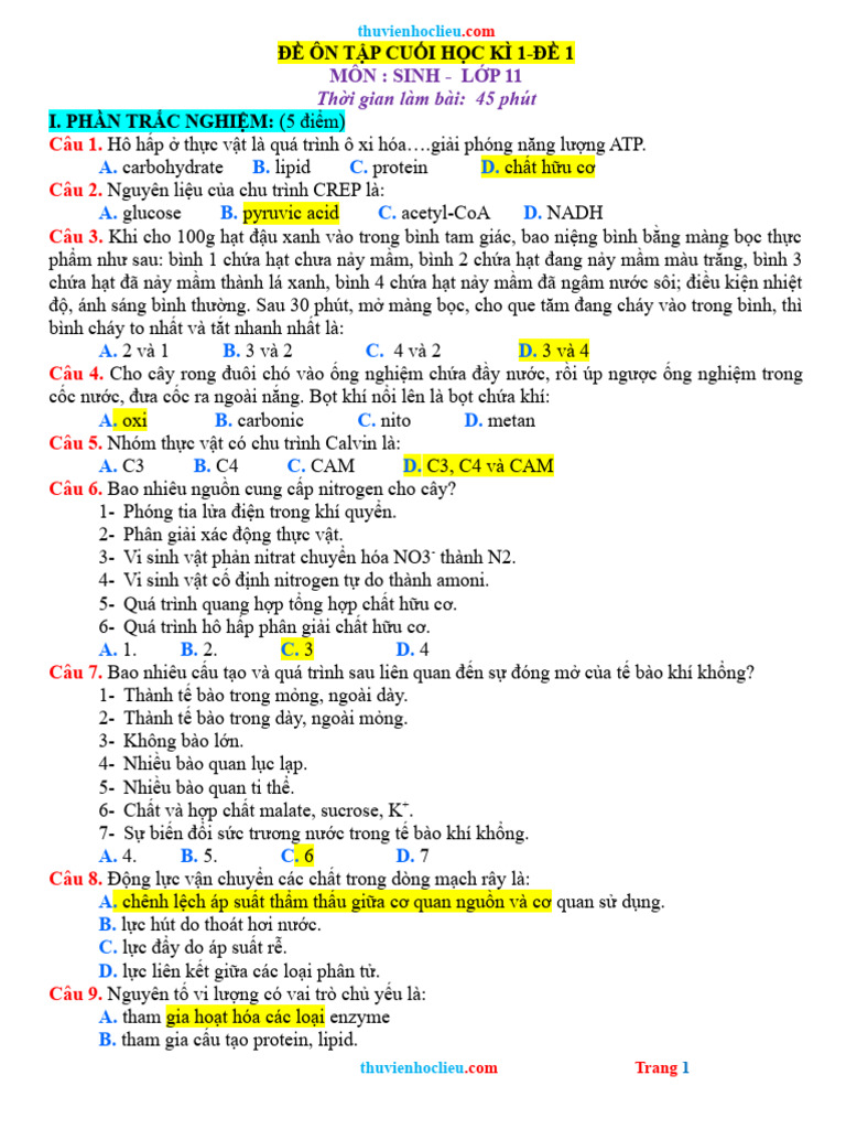 Bo de On Thi HK1 Sinh 11 KNTT | PDF