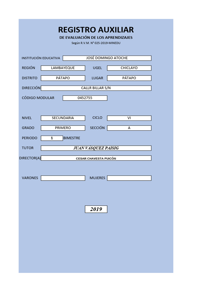 1a - Registro y Boletas 2019 Jda | PDF