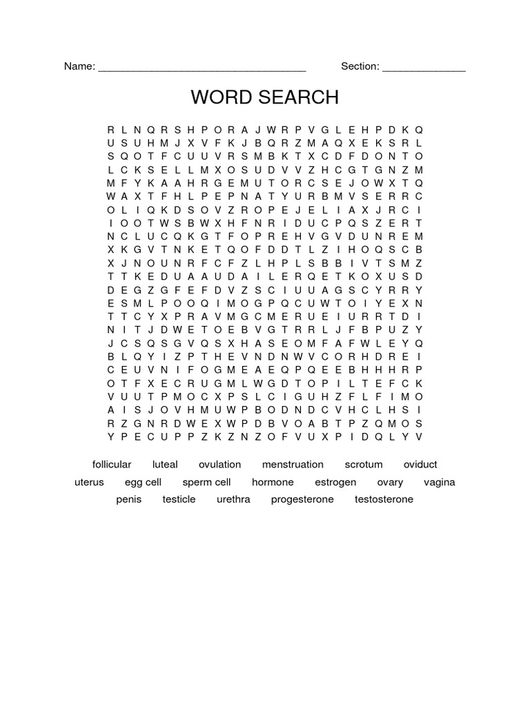 word search | PDF | Menstrual Cycle | Endocrinology