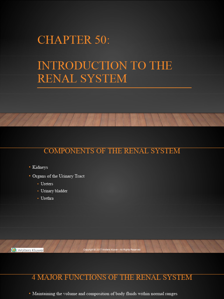 Chapter 50 Intro To Renal System | PDF | Urinary System | Kidney