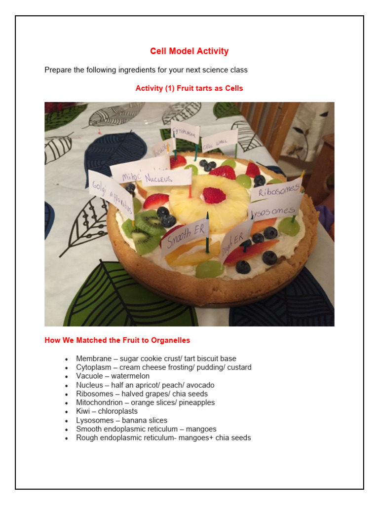 Cell Model Activity | PDF | Cakes | Cupcake