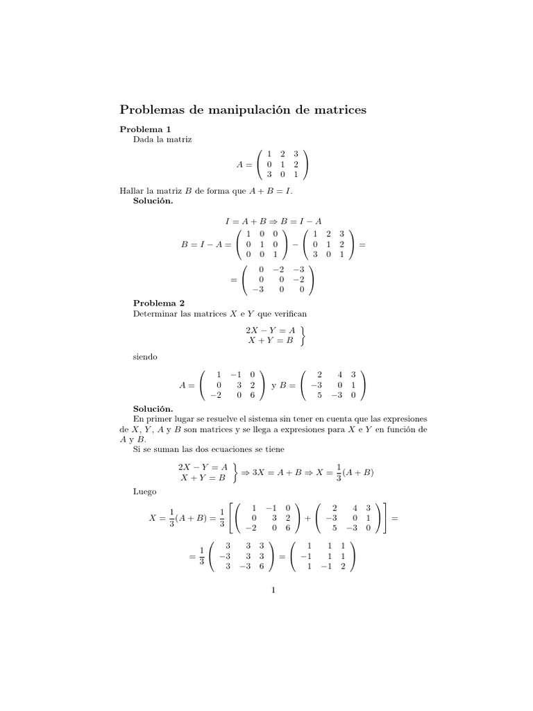 Problemas Matrices 1º SOLUCIÓN | PDF | Matriz (Matemáticas) | Funciones y mapeos