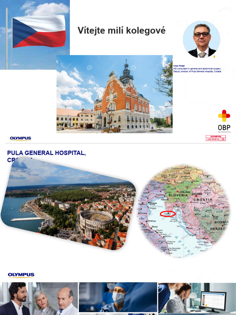 Project Hospital Pula, Ivica Fedel, Medical Director - 26.8.2021 | PDF ...