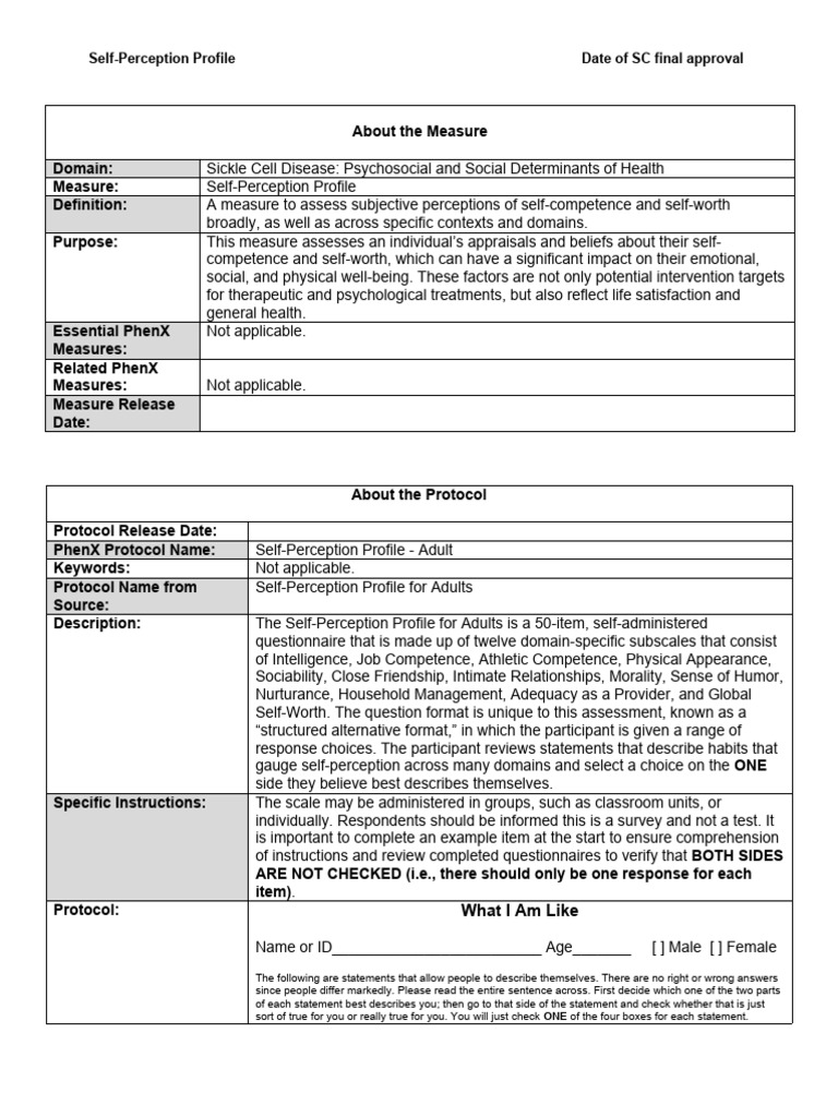 SI 4c Self Perception Adult | PDF | Self Esteem | Cognition