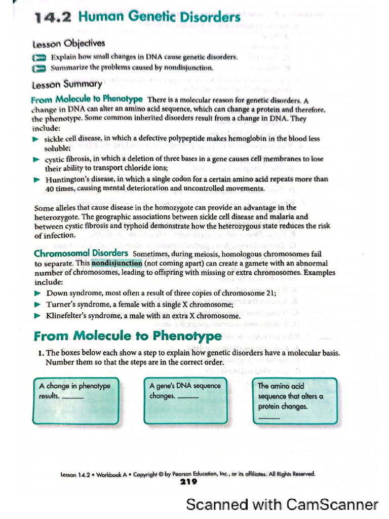 1710400875_Gr 12 C 14.2 WB Questions | PDF