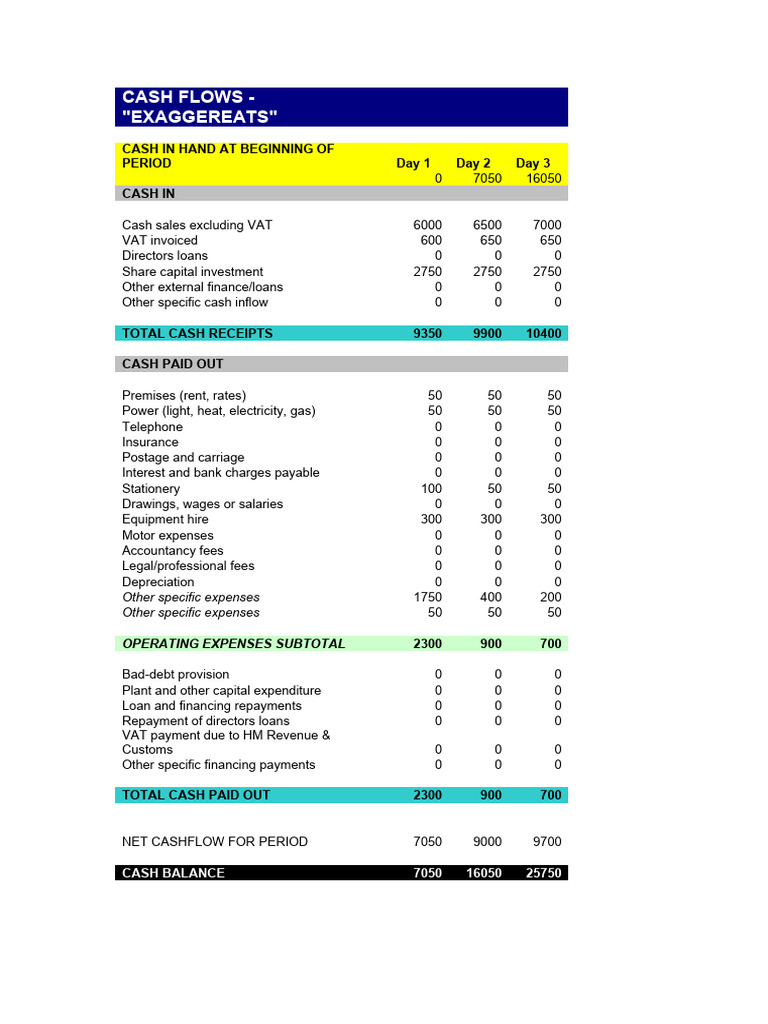 Cash Flows | PDF | Expense | Economies