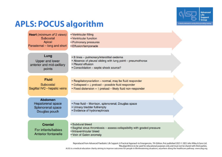 Point of Care Ultrasound (POCUS) Algorithm 7e 2023 | PDF