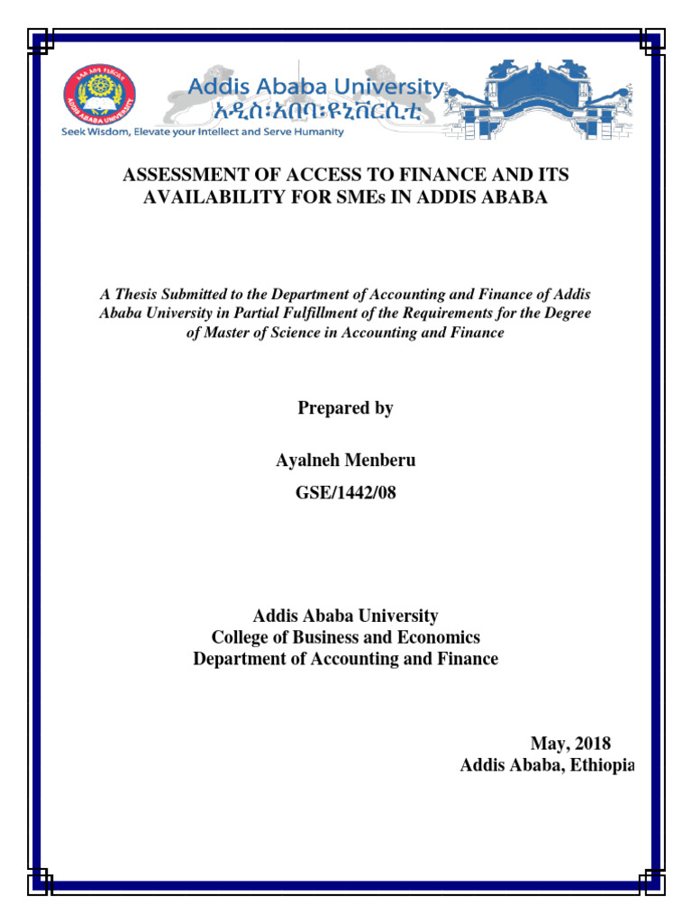 Ayalneh Menberu | PDF | Small And Medium Sized Enterprises | Microfinance