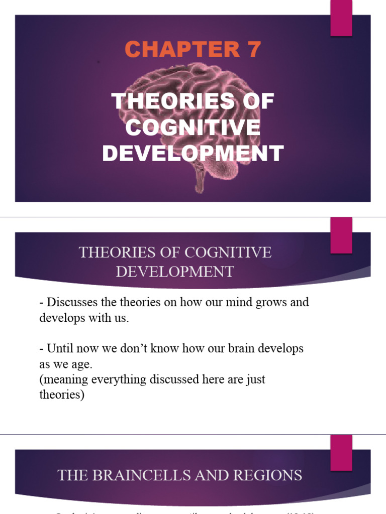 Cognitive Development Theories | PDF | Psychology | Cognition