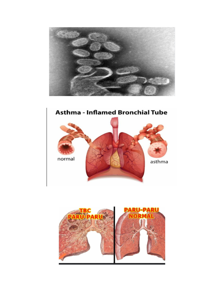 Tugas Al - April | PDF